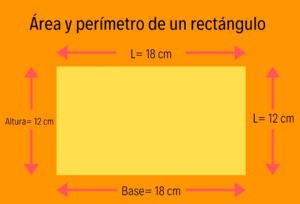 Aprende a calcular el área de un rectángulo con expresiones algebraicas ...